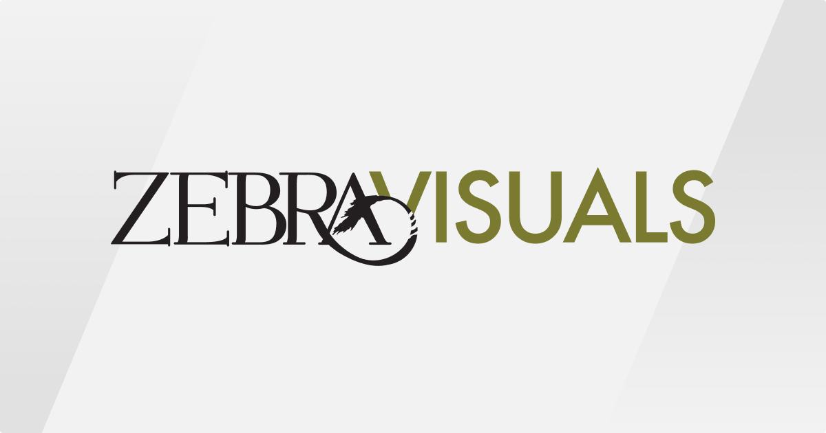 Zebra Visuals | Wayfinding Signage System Design & Installation
