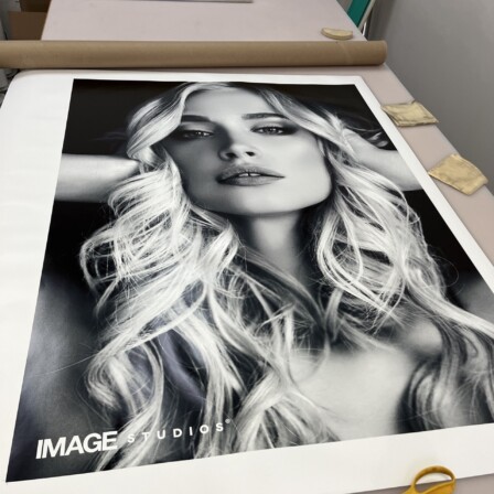 Zebra Visuals | Expert Franchise Signs | IMAGE Studios® Plymouth…